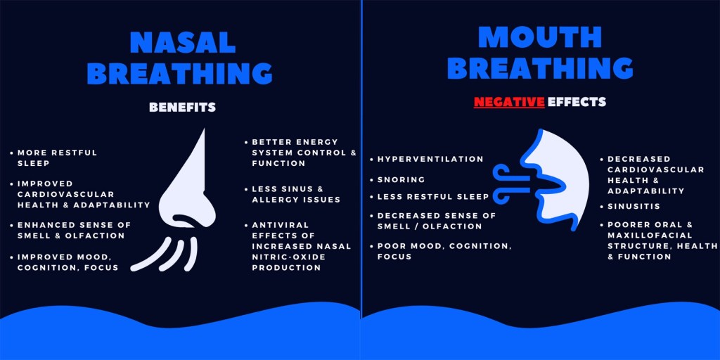 The Power of Breath: A Comprehensive Guide to Wellness, Recovery, and ...